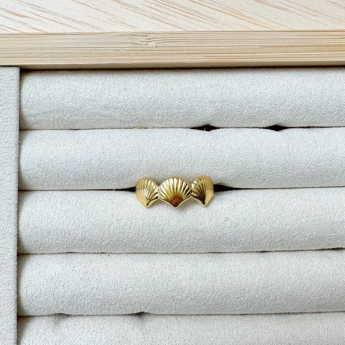 Shell Ring – delisico