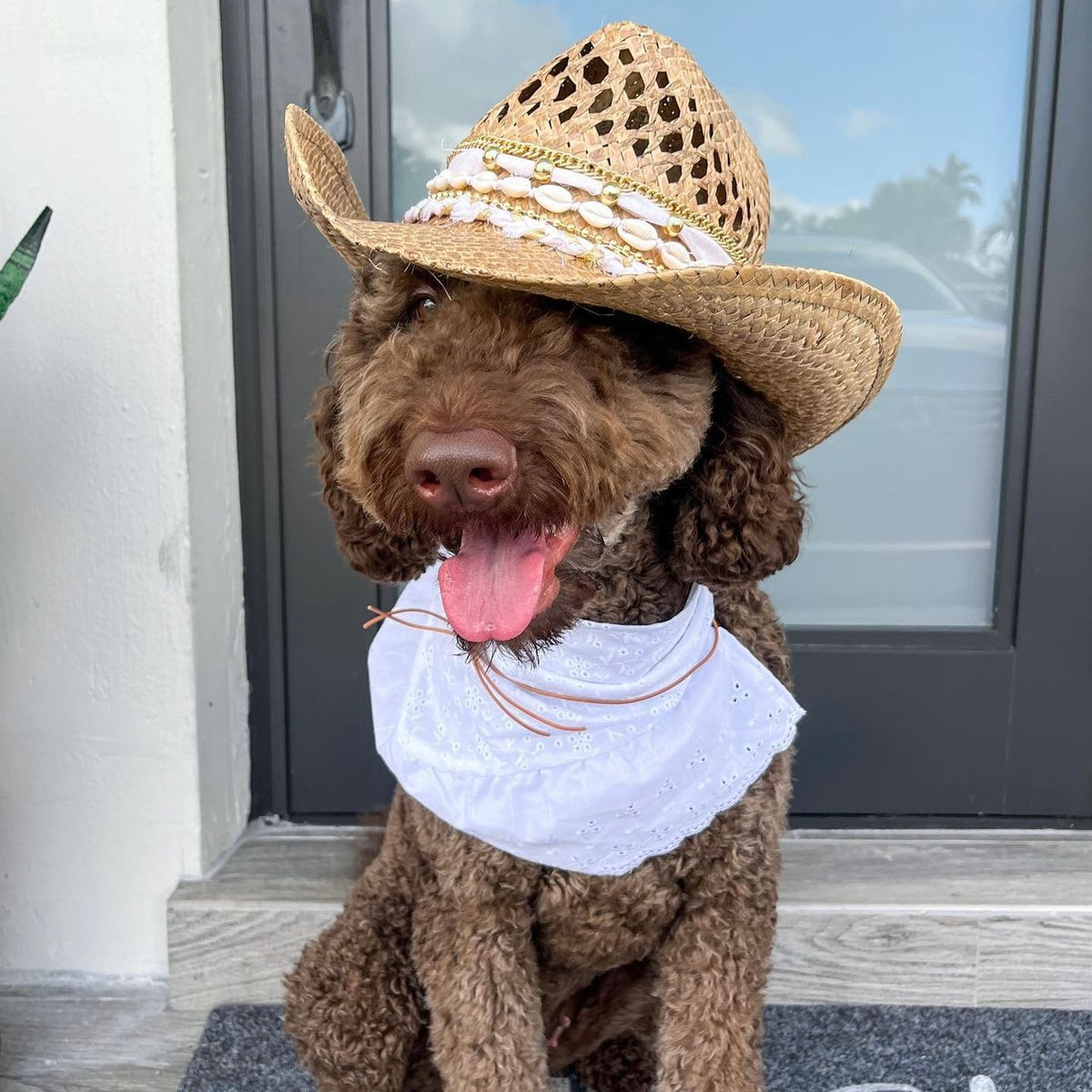 Lola Hat – delisico